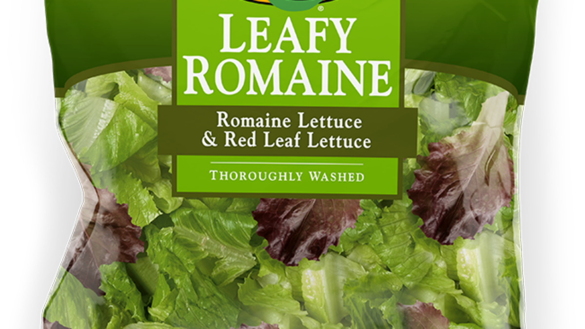 Red Leaf Lettuce Recipe