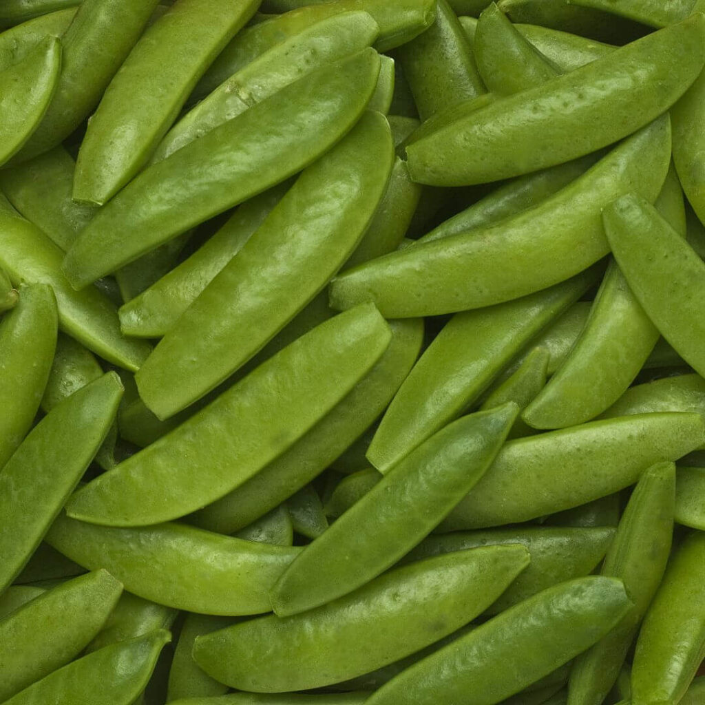 Teriyaki Stir-Fry Kit | Taylor Farms