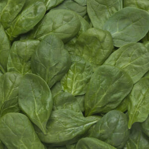 Spinach - Vegetable Facts - Taylor Farms