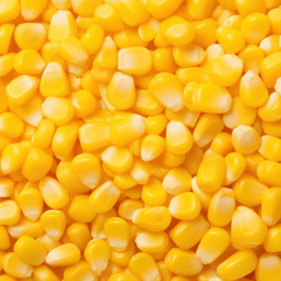 Corn - Vegetable Facts - Taylor Farms
